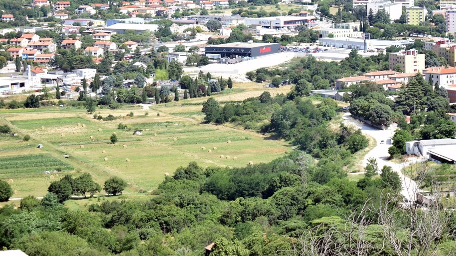 GRAD LABIN: Tvrtka Pestic d.o.o provoditi će mjere suzbijanja crnog ...